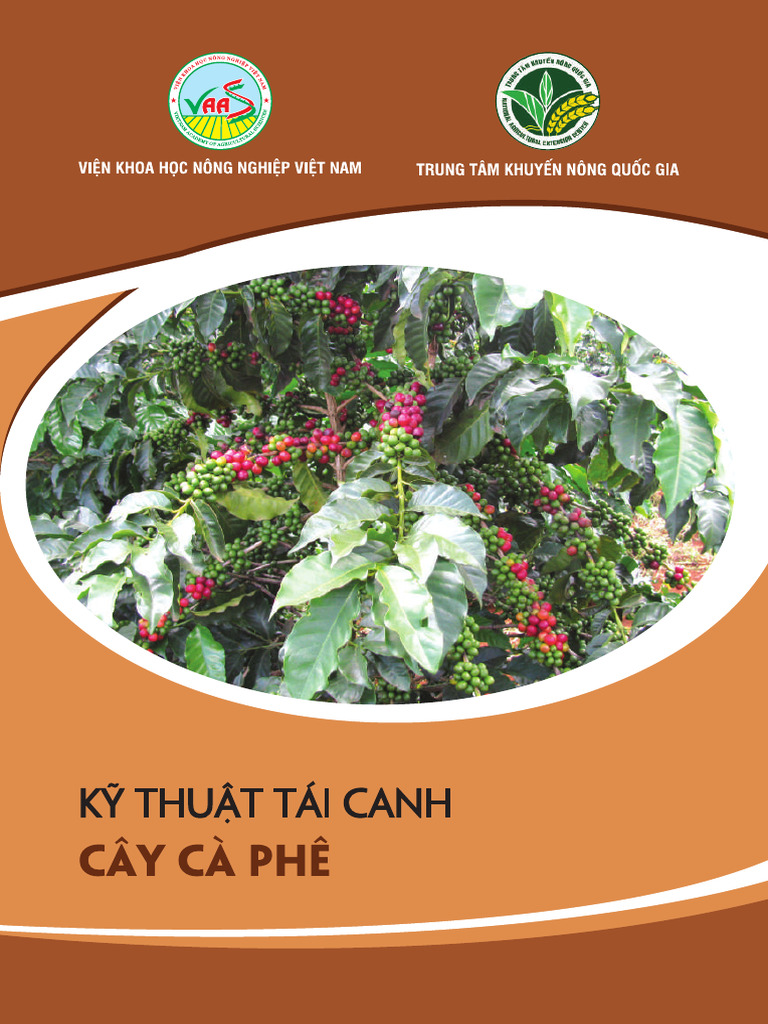 Kỹ thuật tái canh cây cà phê | PDF