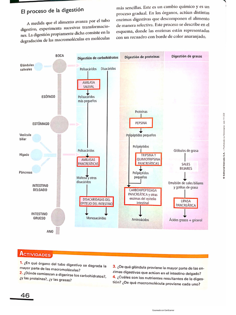 Digesti-N Qu-Mica | PDF