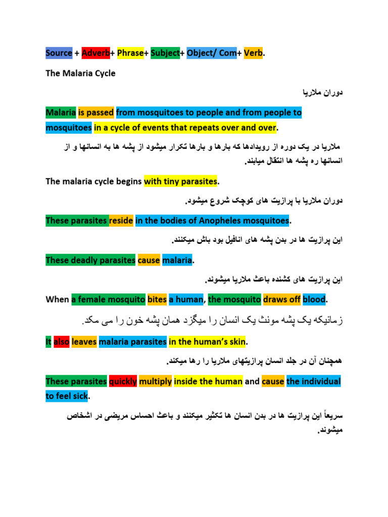 Stage Translation | PDF