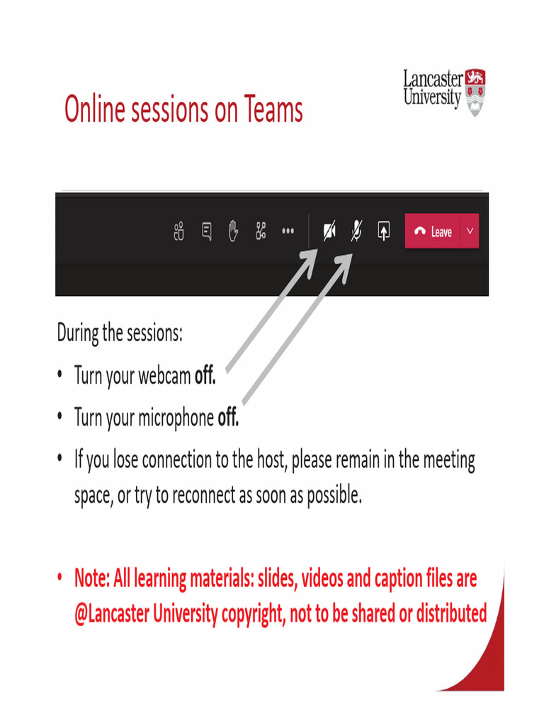 Guidelines for Online Teams Sessions | PDF