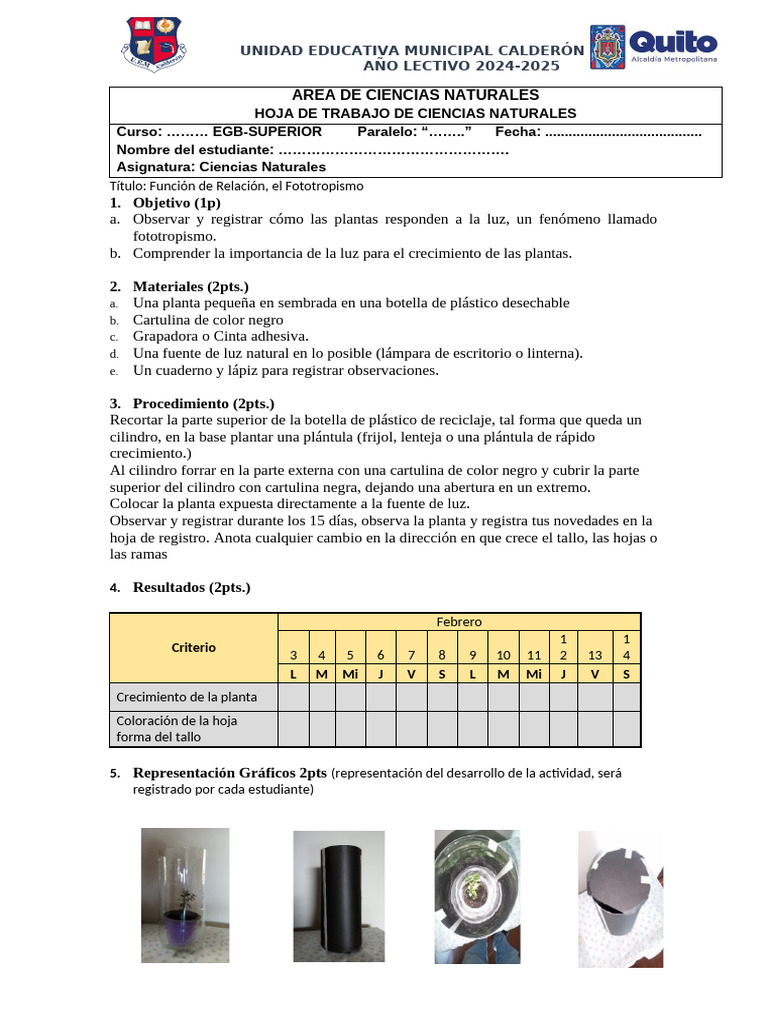 Informe de Laboratorio_ Ccnn_individual (4) | PDF