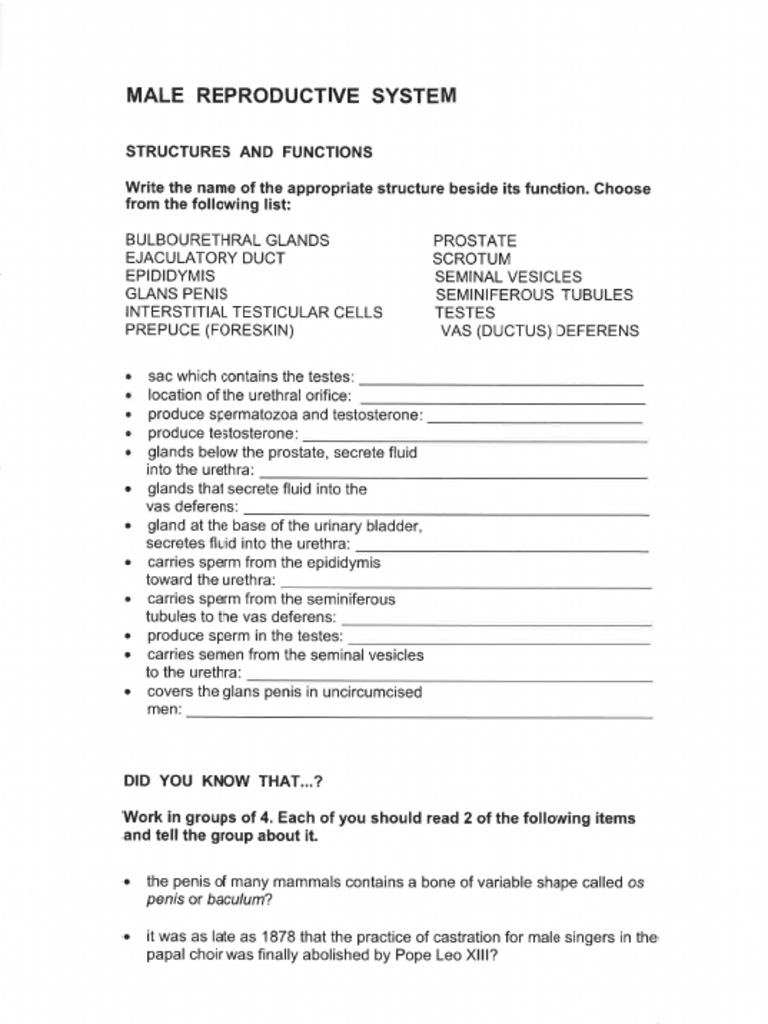 Medical English Workbook by A. Žmegac Horvat | PDF