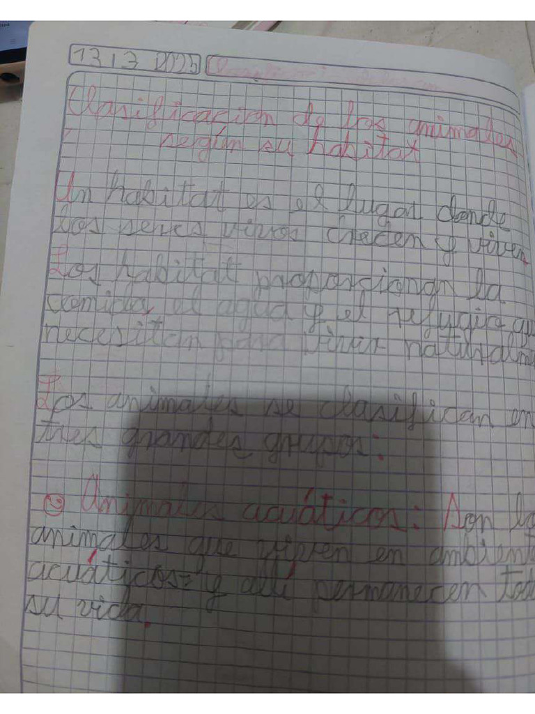 Documento Liam | PDF