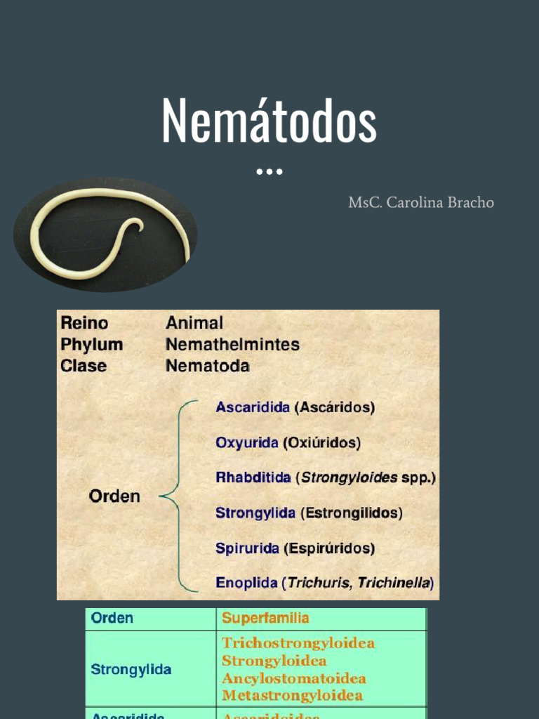 Nemátodos | PDF