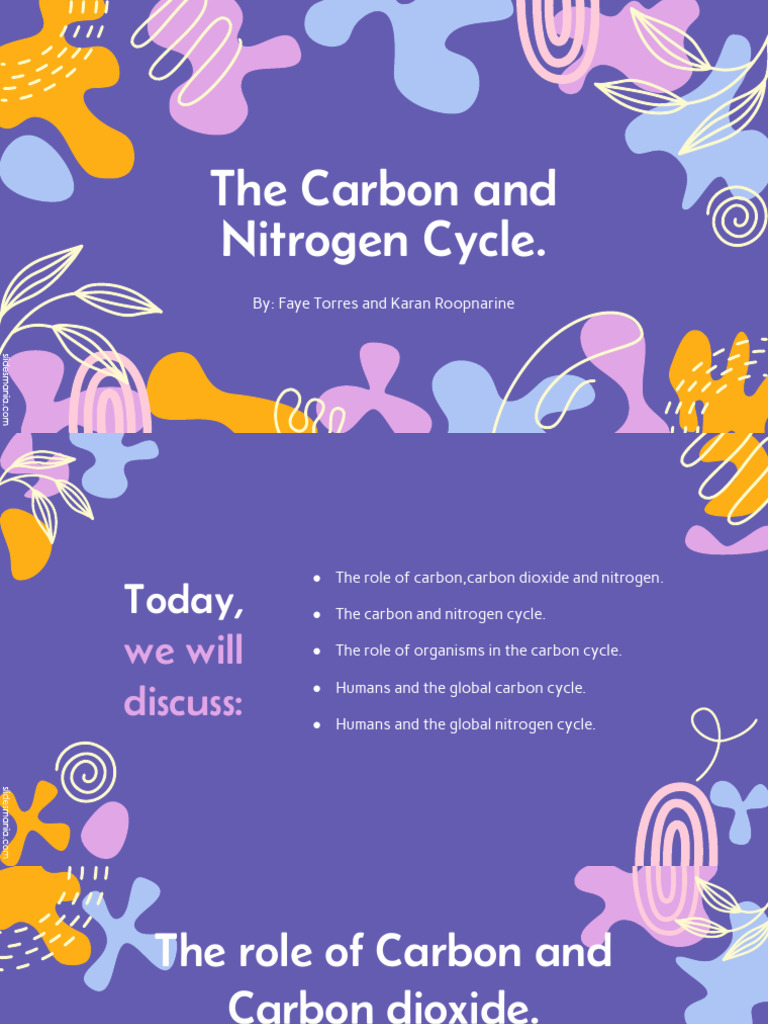 Carbon and Nitrogen Cycle - 230905 - 212339 | PDF | Nitrogen | Nitrate