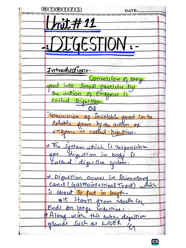 Digestion | PDF