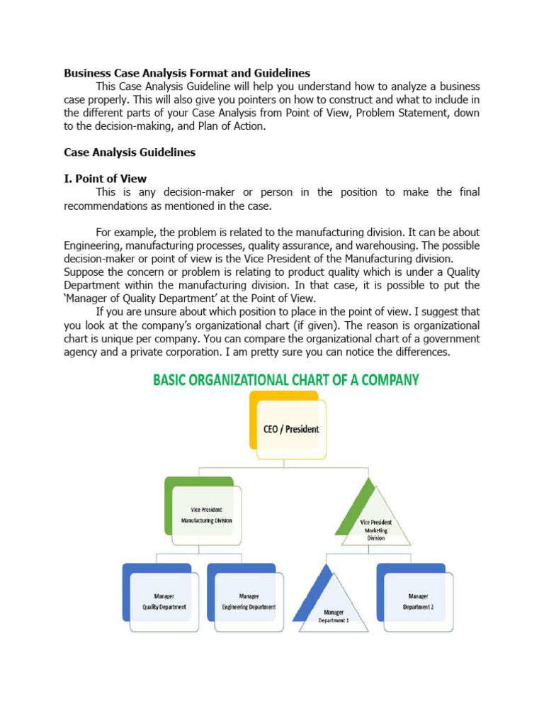 Business Case Analysis Format and Guidelines | PDF | Swot Analysis ...