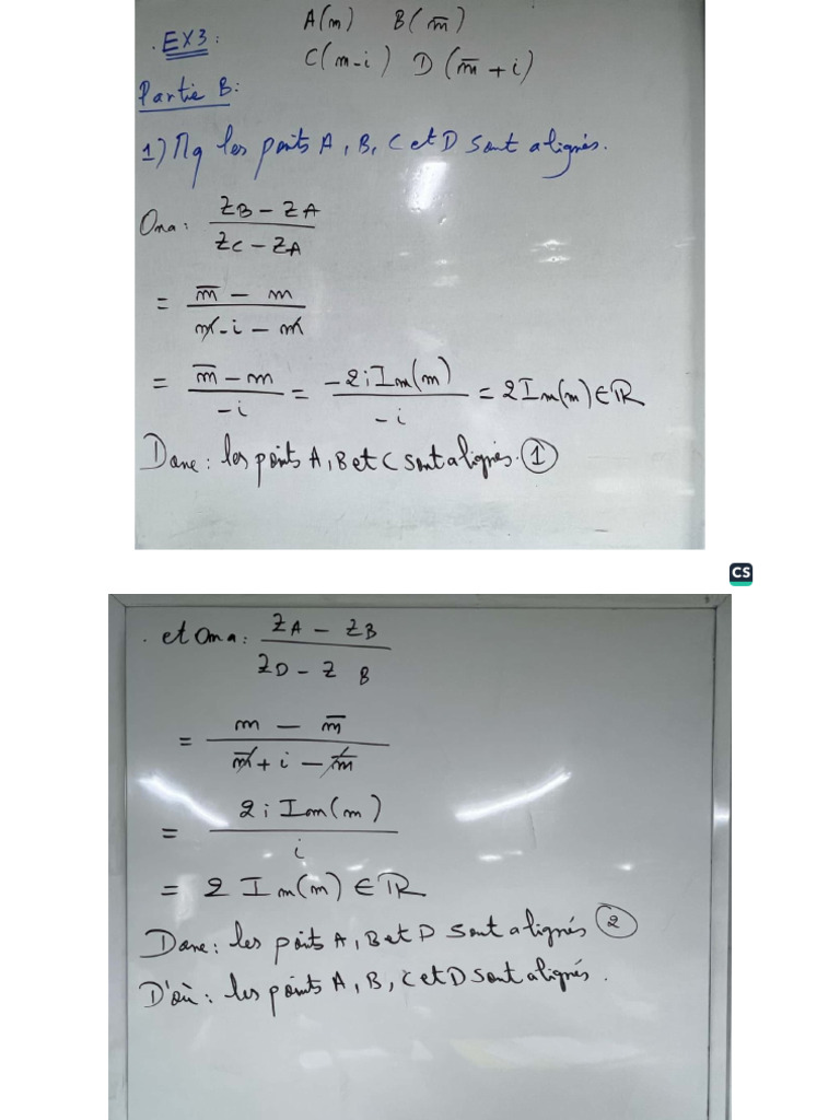 Complex Ex 3 03-13-2025 20.00 | PDF