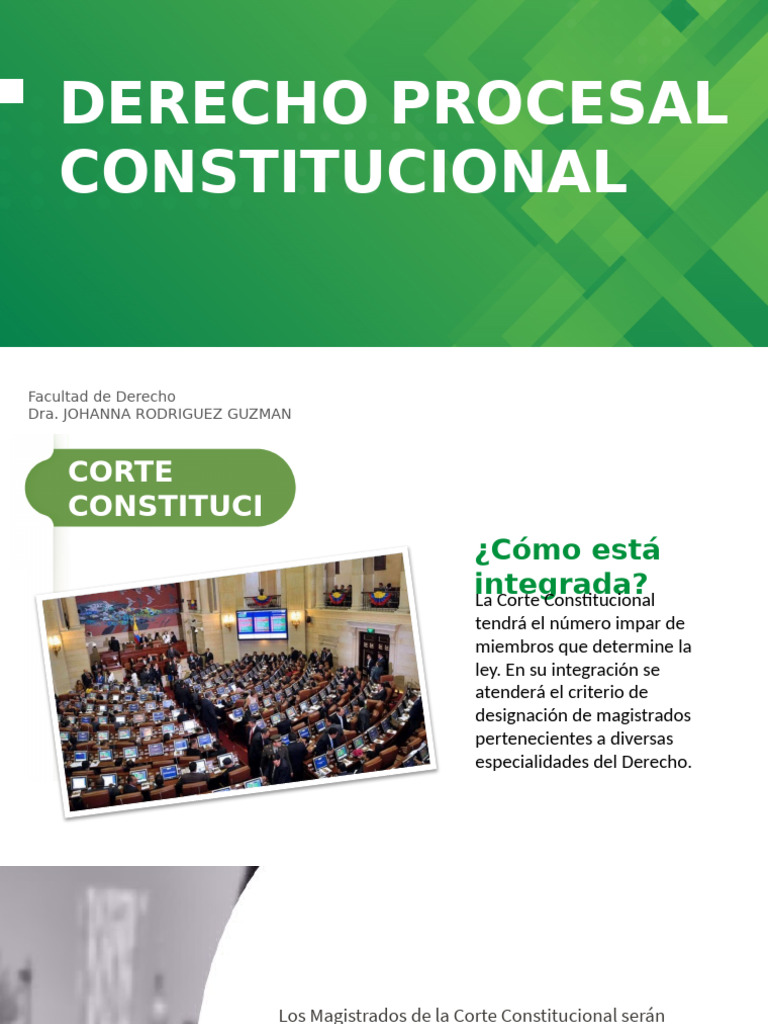 Derecho Procesal Constitucional | PDF | Constitución | Ley procesal