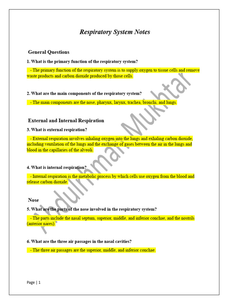 Respiratory System Notes | PDF | Respiratory System | Lung