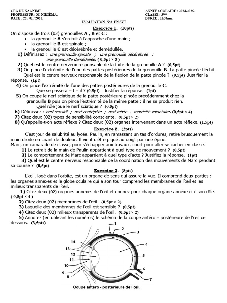 3ème E3 SVT 2025 | PDF | Nerf | Système nerveux