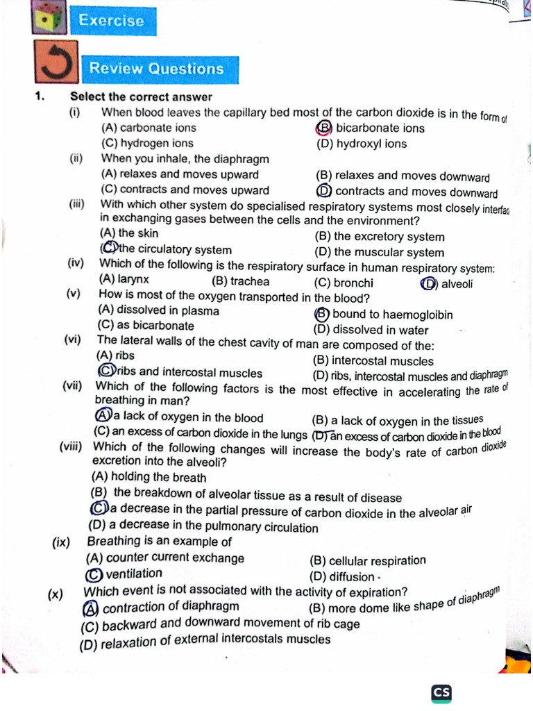 Biology Exercise MCQs Key | PDF