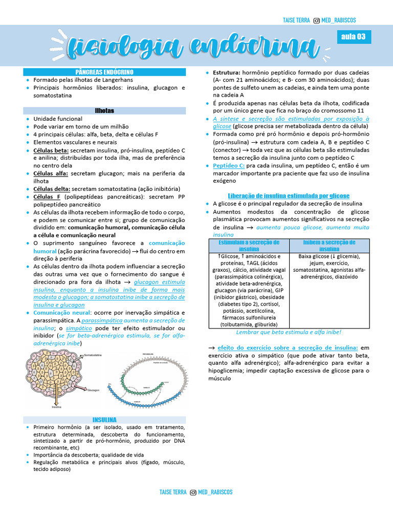 Fisiologia Endoì Crina - Parte 03 @med - Rabiscos | PDF | Insulina ...