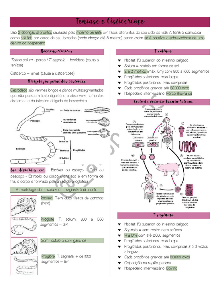 1° - Teníase e Cisticercose | PDF | Especialidades médicas | Microbiologia