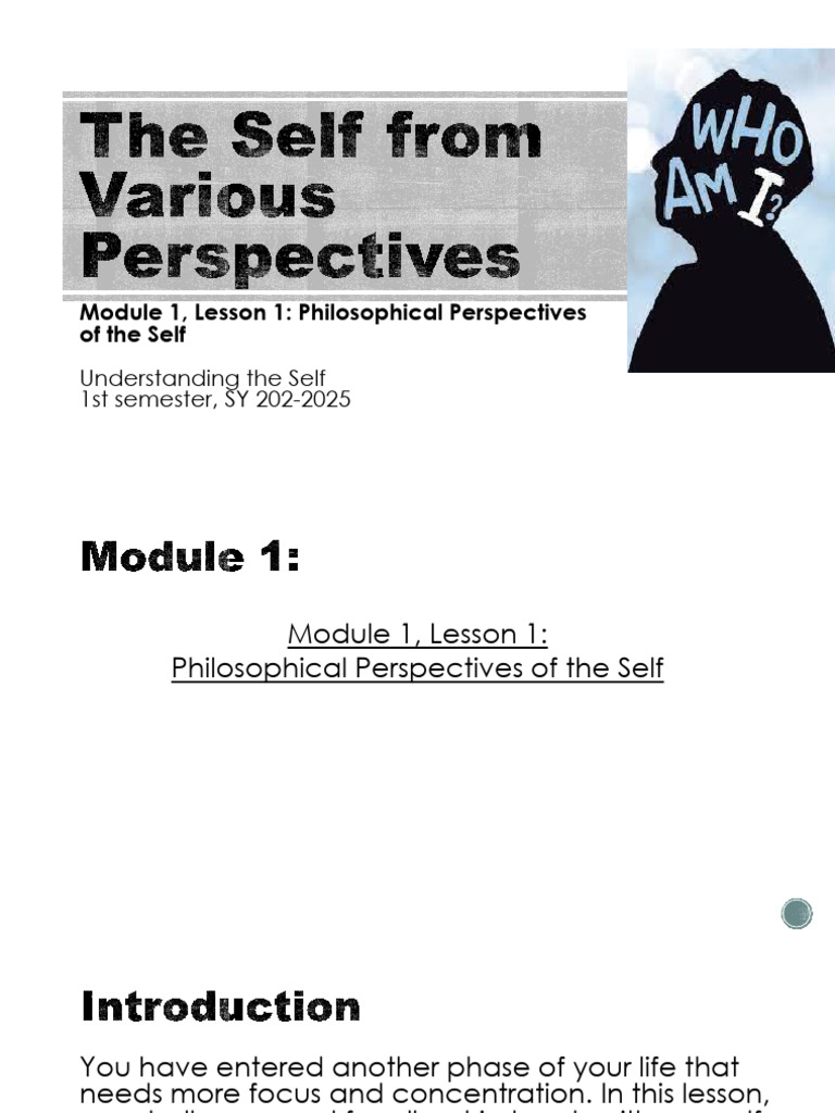 Philosophical Views on the Self | PDF | Philosophy Of Self | Soul