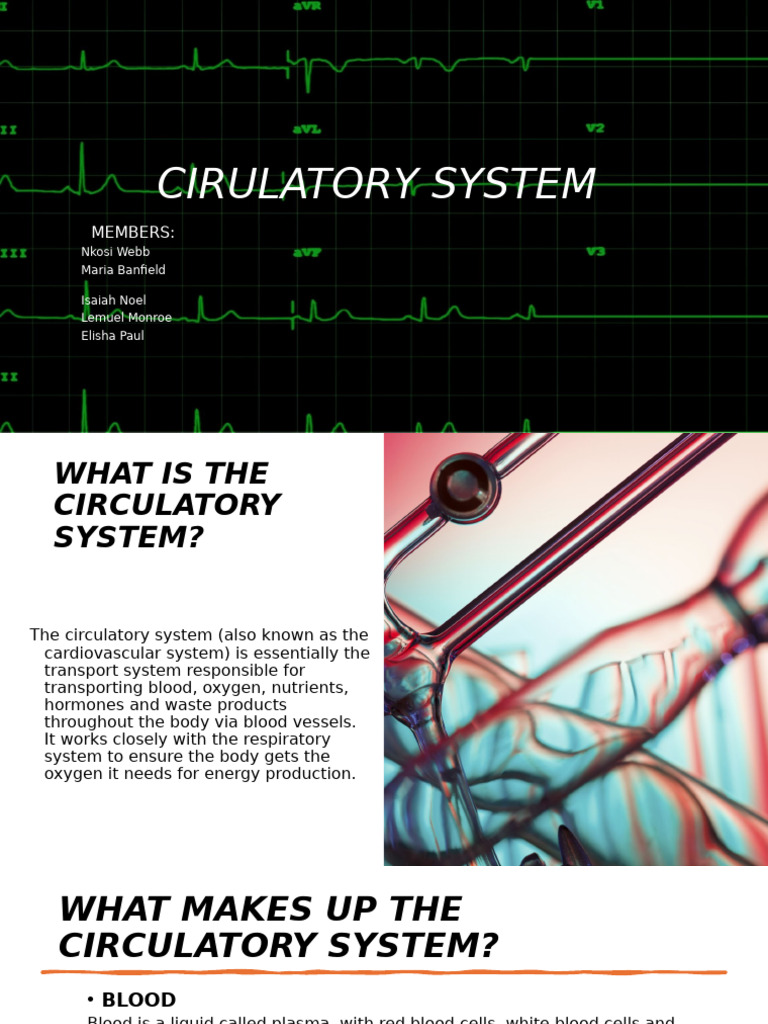 Group 2 Circulatory System | PDF | Circulatory System | Heart