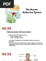 Hormones and The Endocrine System Textbook of Endocrinology Updated ...