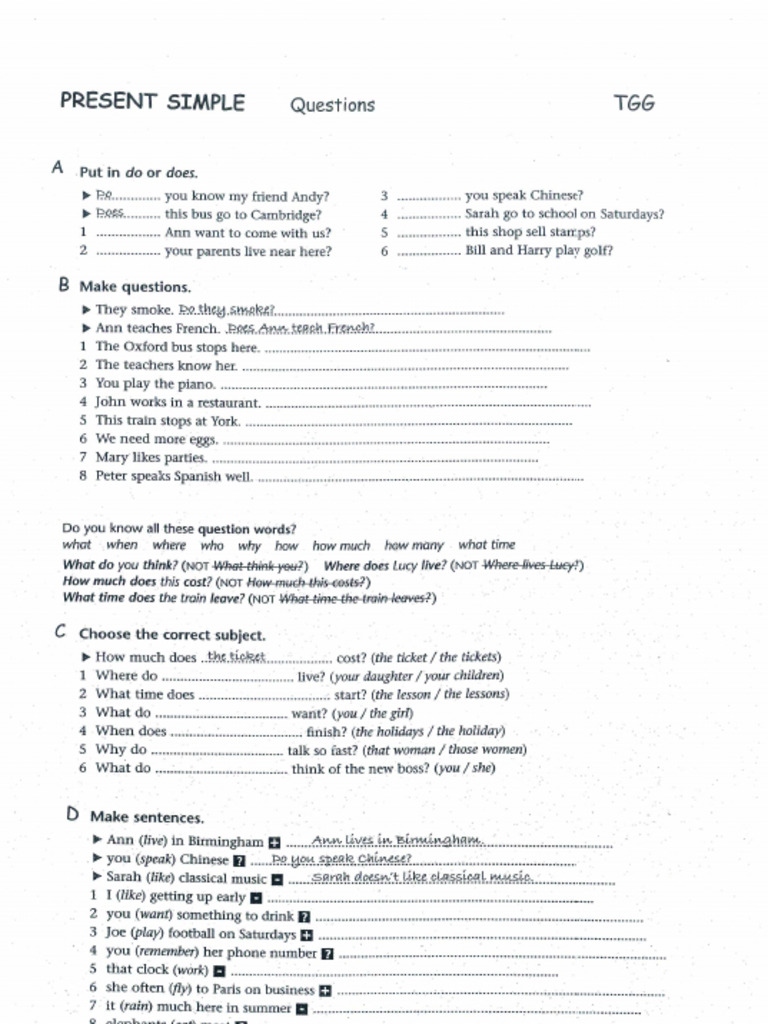 Present Simple Questions | PDF