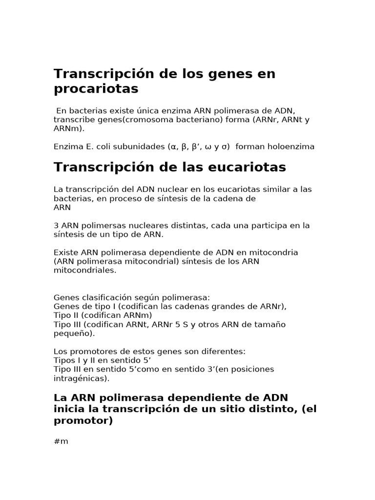 Transcripcion | PDF