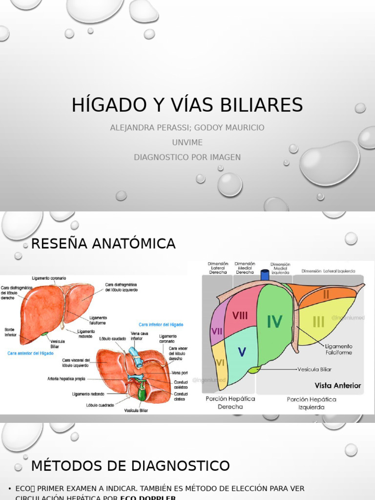Hígado y Vías Biliares Diagnostico Por Imagen | PDF | Vesícula biliar ...