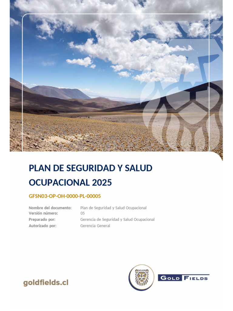 Plan SSO Gold Fields SN 2025 Rev.05 Final | PDF | Seguridad y salud ocupacional | Valores