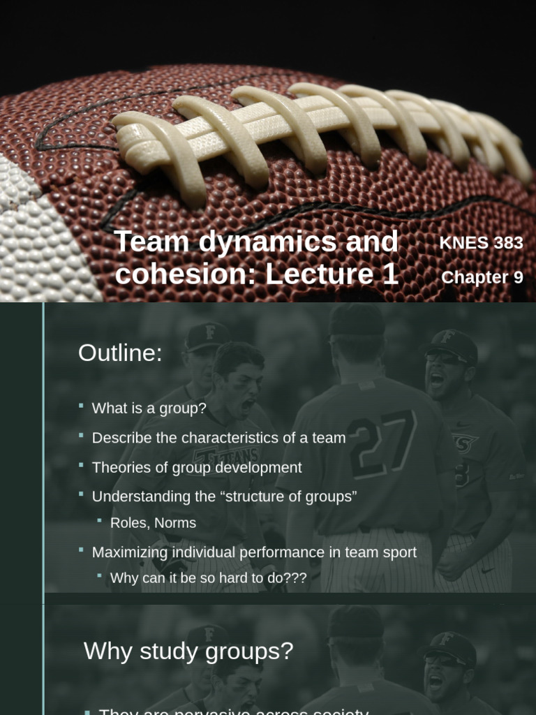 Team Dynamics and Cohesion Explained | PDF | Motivation | Motivational