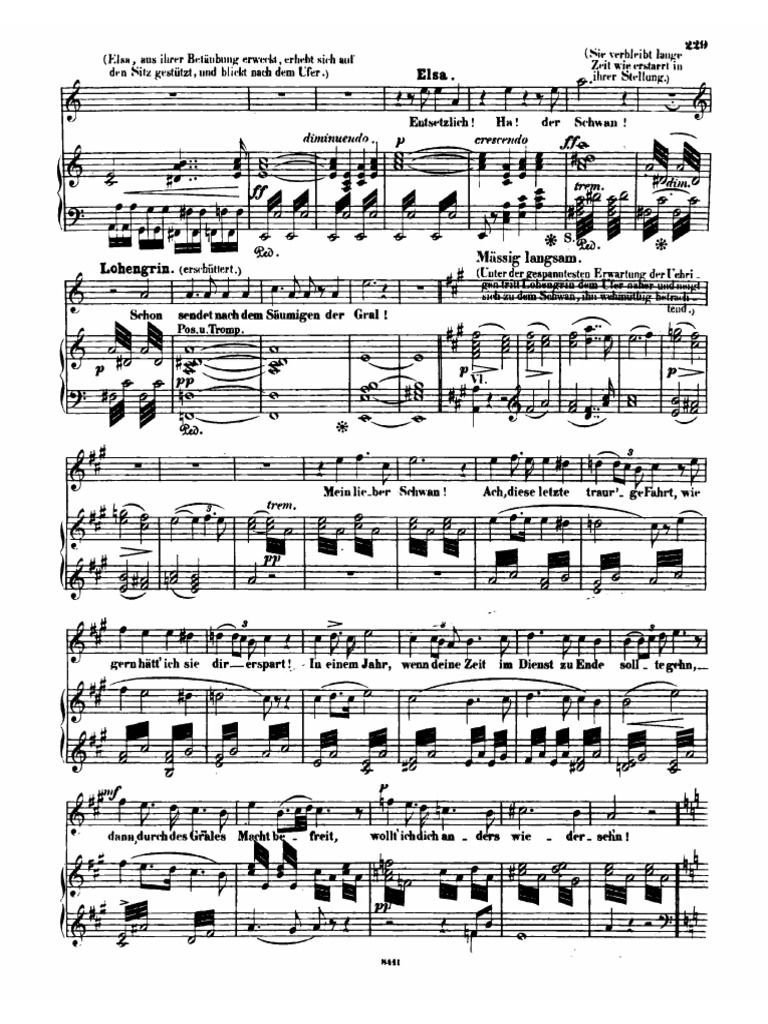 Mein Lieber Schwan - Wagner | PDF