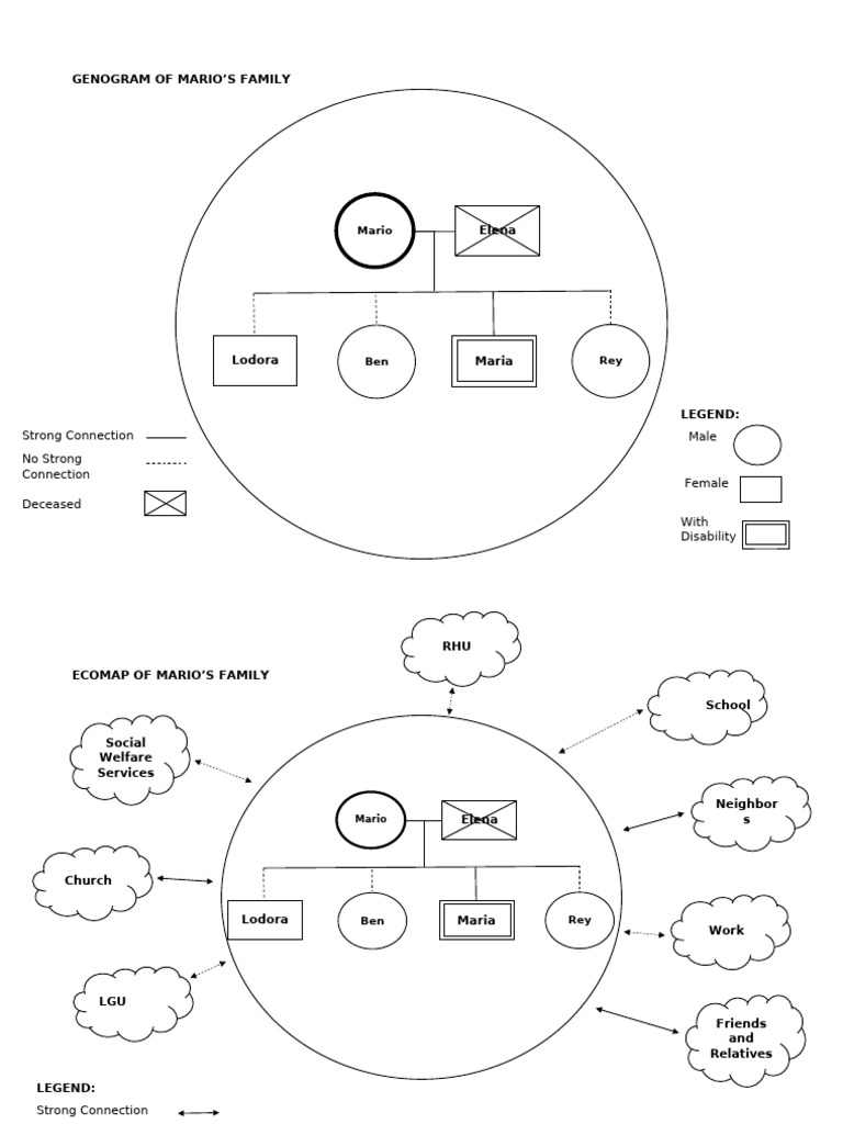 Genogram and Eco Map Sample1 | PDF