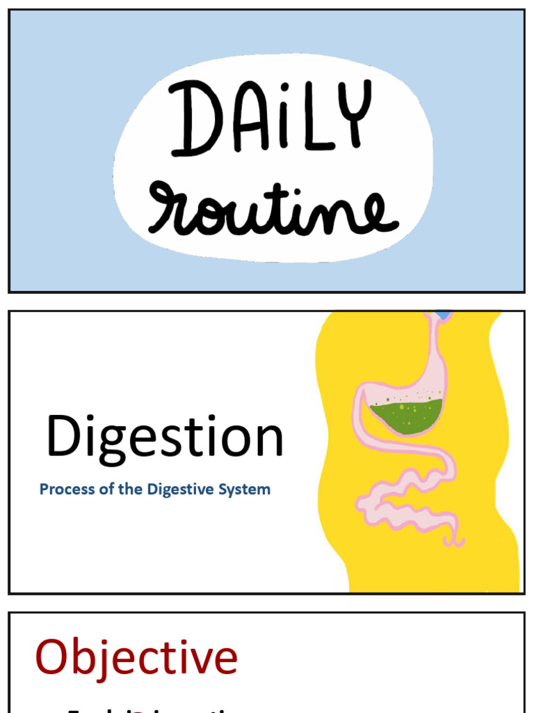 Lesson 2-Process of Digestion (1) | PDF