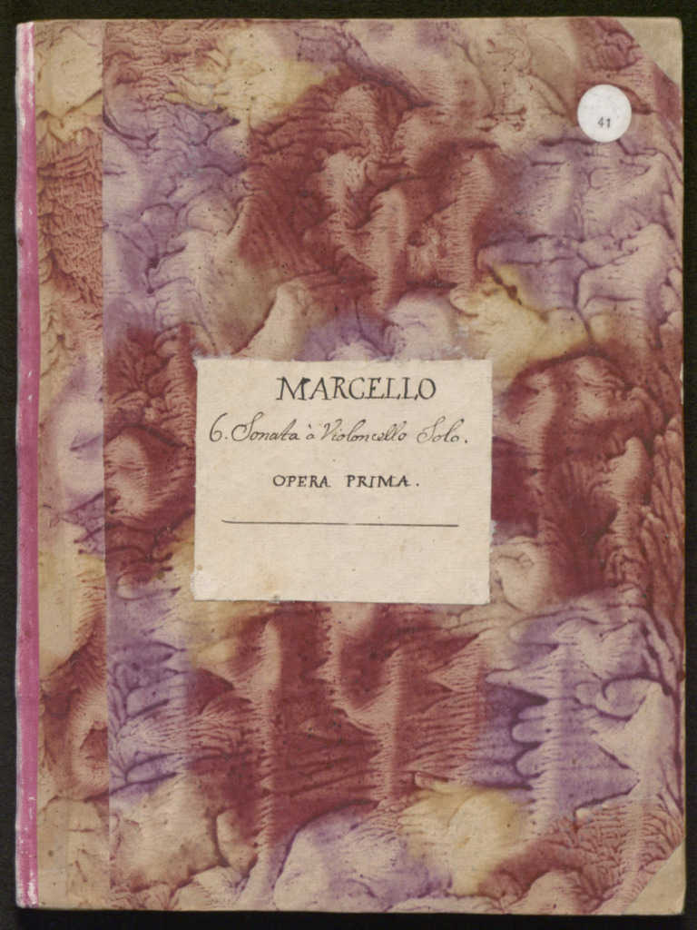 Marcello Benedetto | PDF