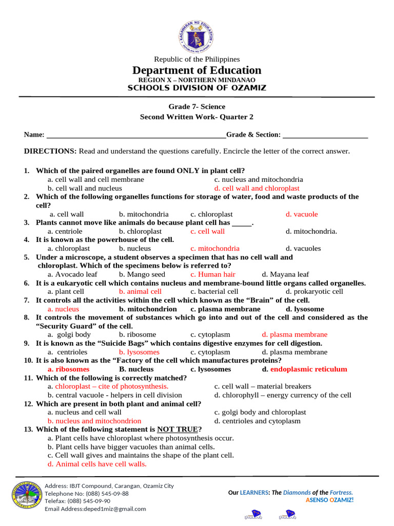 Grade 7 Science Quiz: Cell Biology | PDF | Cell (Biology) | Organelle