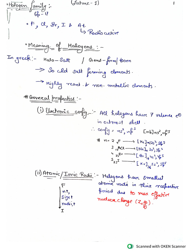 Halogen Family 2024 | PDF