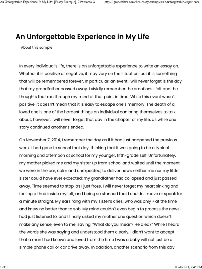 An Unforgettable Experience in My Life (Essay Example), 719 Words ...