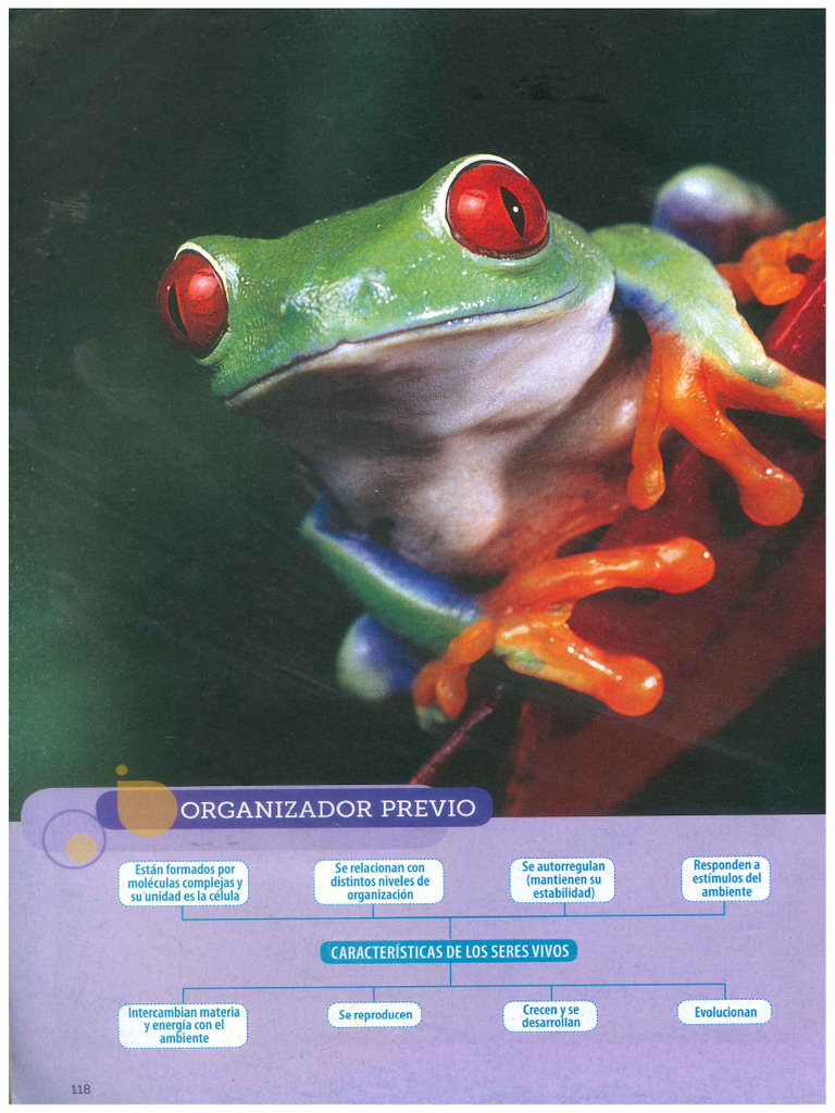 CS Nat-Sm Cap 8 Unidad y Diversidad de La Vida | PDF