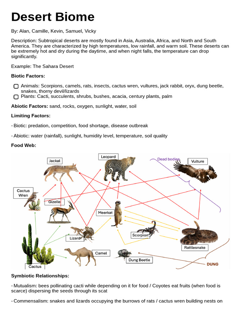 Subtropical Desert | PDF