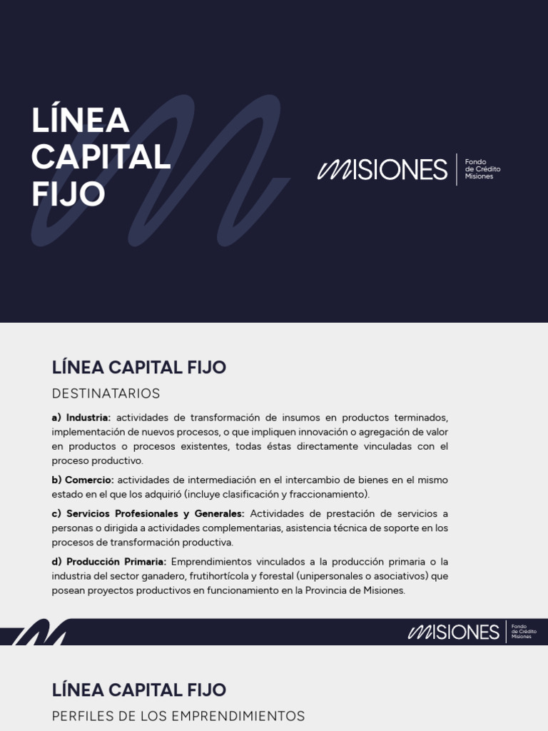 INFO-linea-cap-fijo | PDF | Pequeñas y medianas empresas | Negocios ...