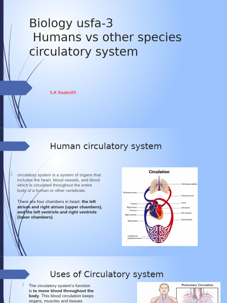 Human vs Fish Circulatory Systems | PDF | Circulatory System | Heart