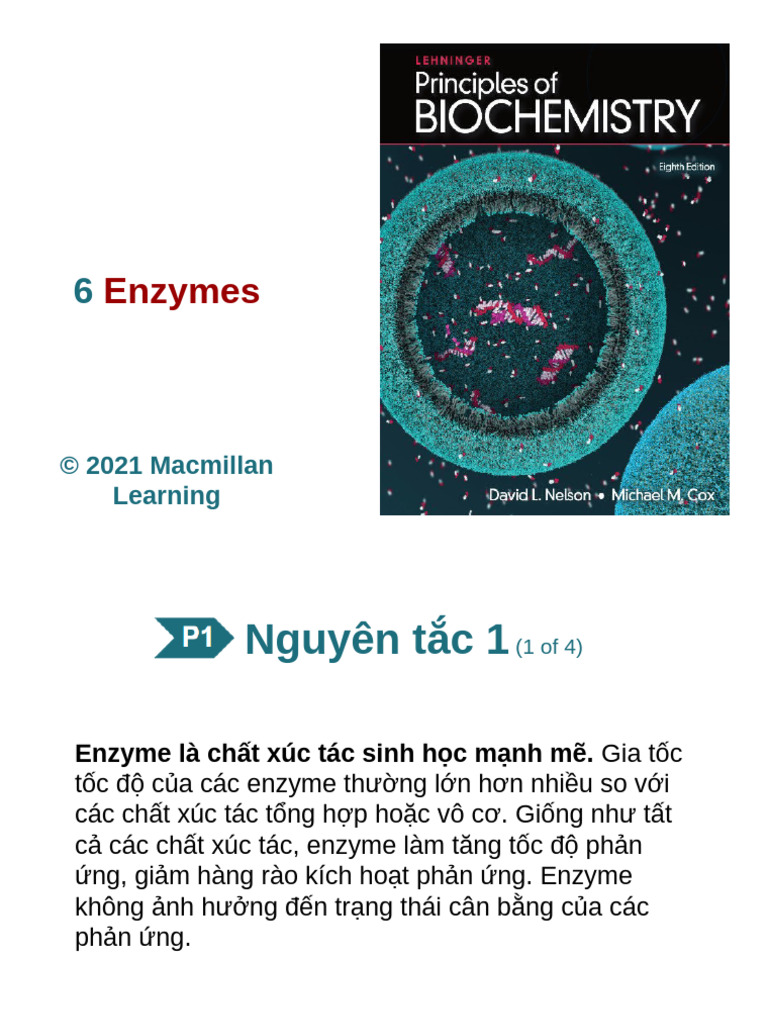 Chapter 06 - Enzymes | PDF