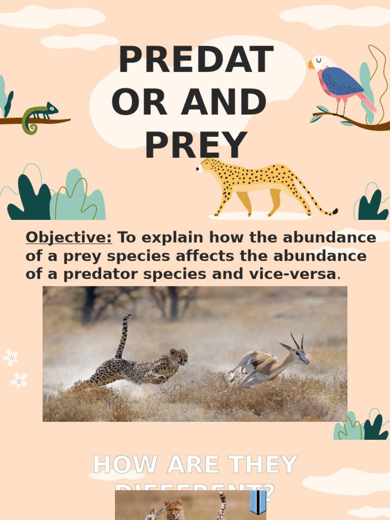 Predator and Prey | PDF
