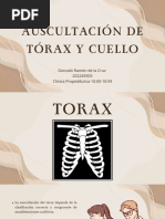 Es La Pectoriloquia Áfona | PDF