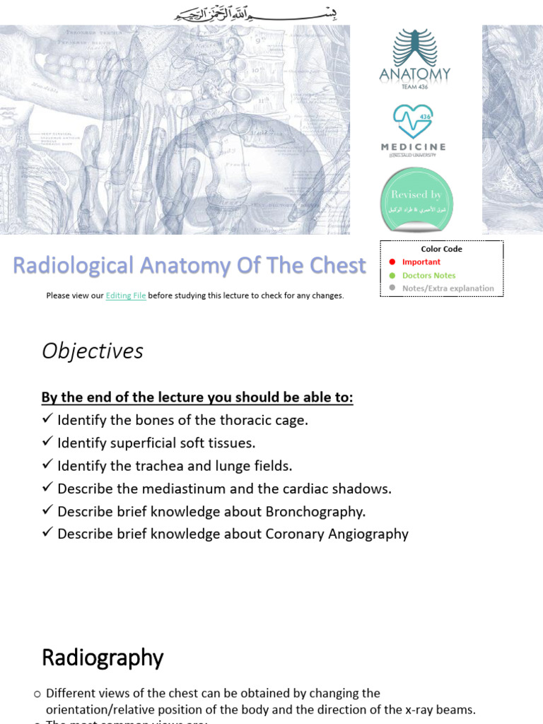 Chest Radiological Anatomy Overview | PDF | Thorax | Thorax (Human Anatomy)