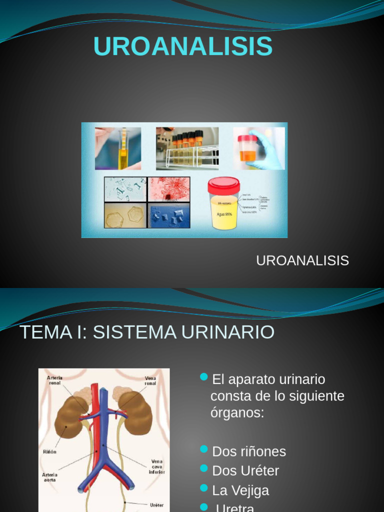 Uroanalisis Clases Completo | PDF | Sistema urinario | Orina