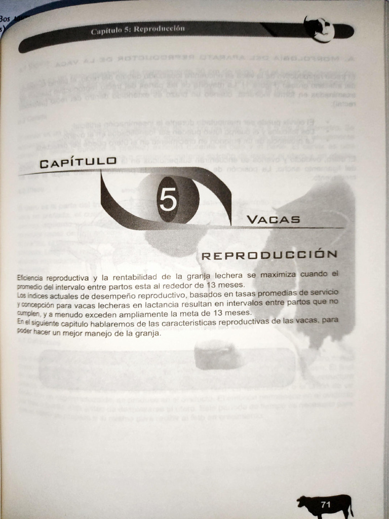 Ciclo Reproductivo Vacas | PDF
