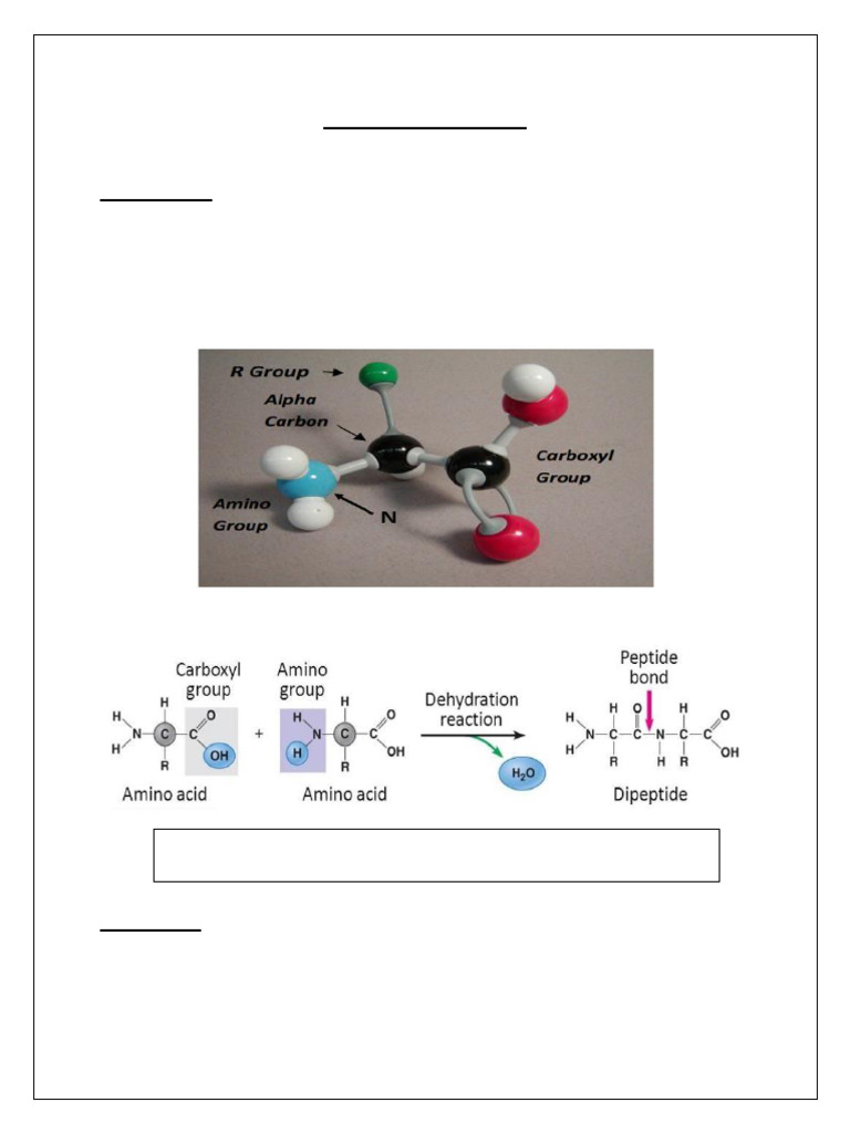 BIOMATERIAL LAB 3,4,6,7 - Edited | PDF | Deformation (Engineering ...