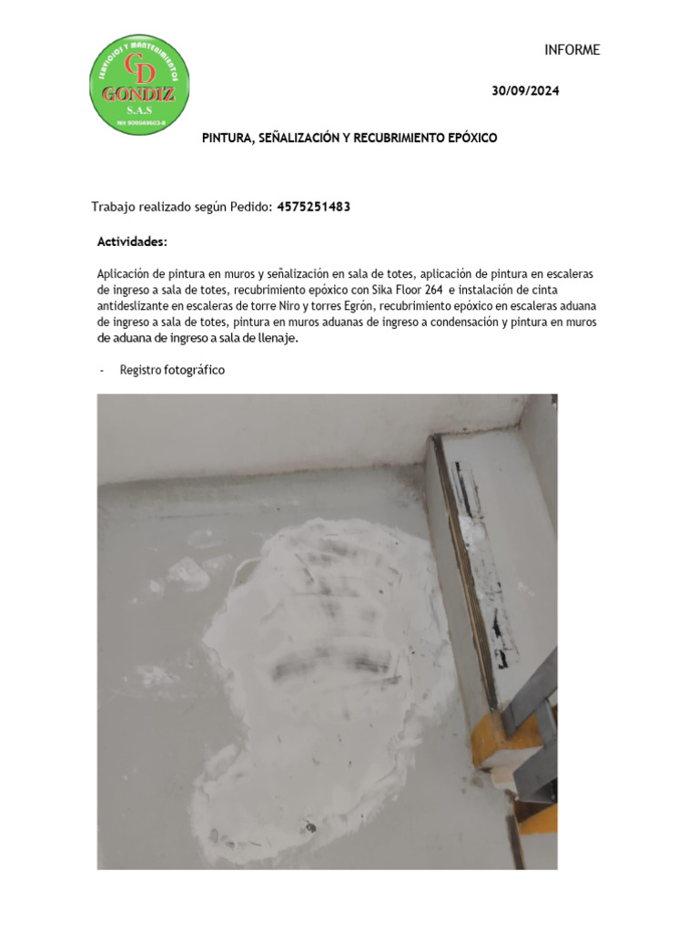 Informe GONDIZ - DPA - PINTURA Y RECUBRIMIENTO EPÓXICO | PDF