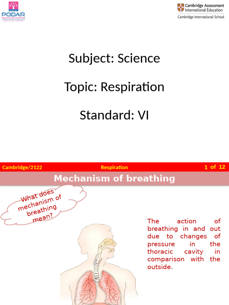 1 - VI - Bio - Unit 1 - Breathing and Respiration | PDF | Breathing ...