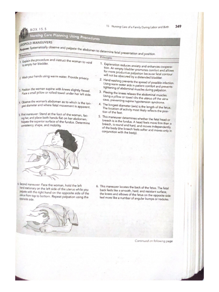 15 Nursing Care of A Family During Labor and Birth | PDF