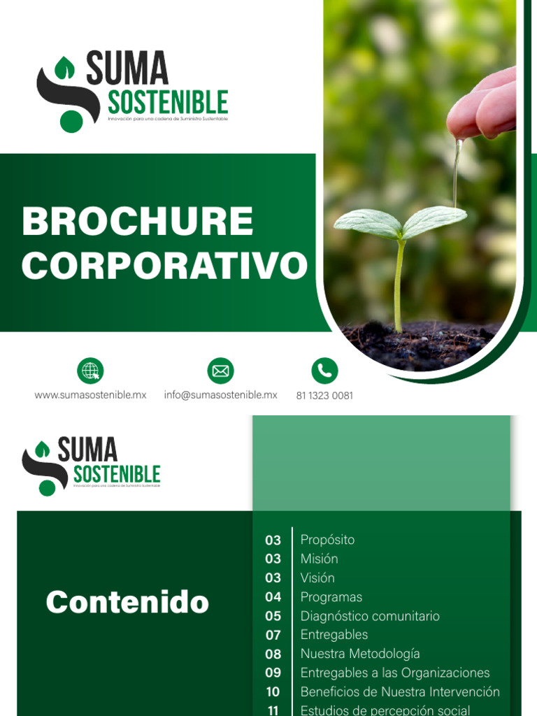 Creaci n de Contenido Visual Con IA | PDF