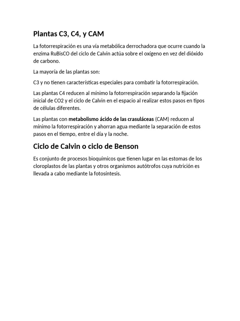Plantas c3 | PDF | Fotosíntesis | Metabolismo