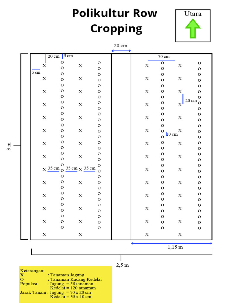 Denah Lahan Polikultur dan Monokultur | PDF
